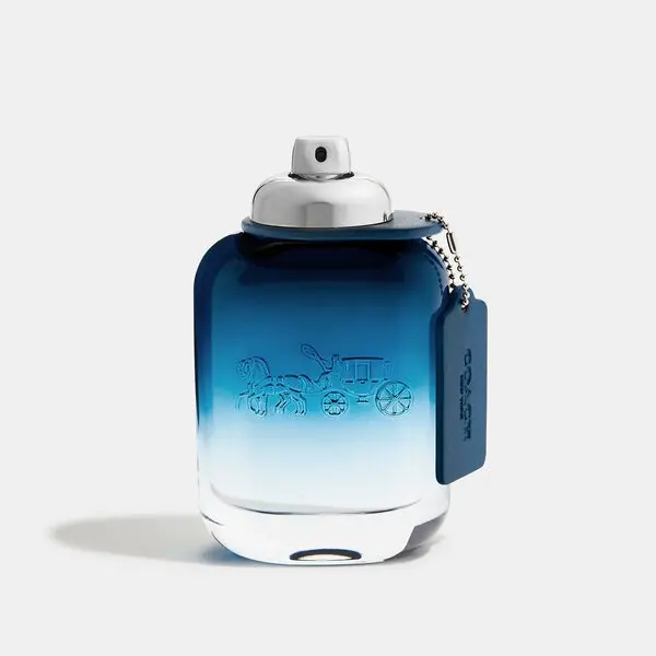 COACH Blue Eau De Toilette 100ml - Multi