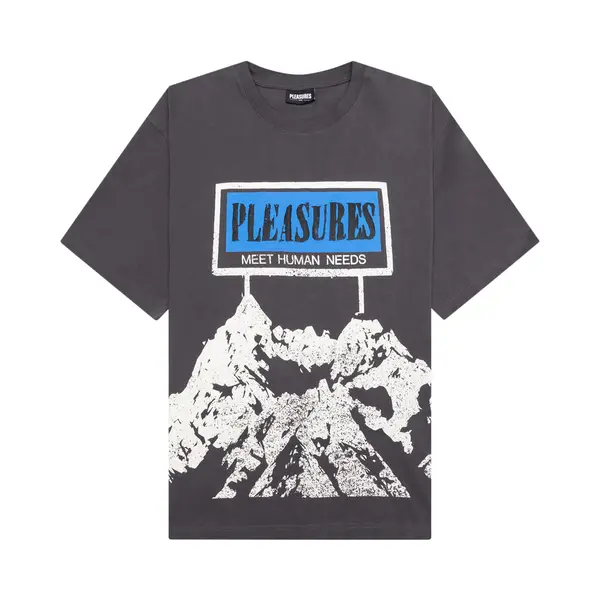 PLEASURES Heavyweight Human Needs Shirt - Grey