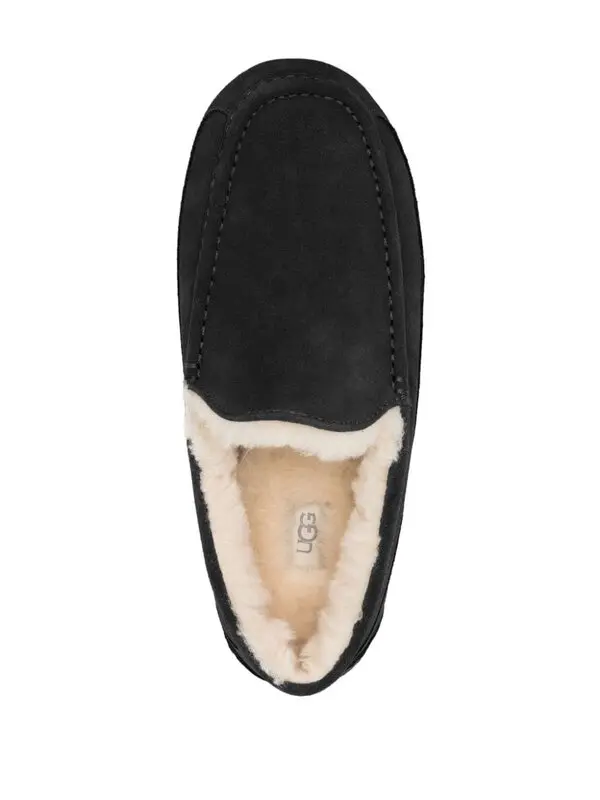 UGG Ascot Lace-up Sneakers