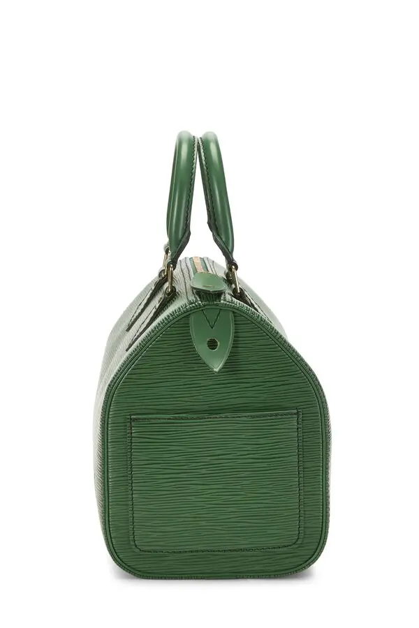 LOUIS VUITTON Epi Speedy 25 Top Handle Bag