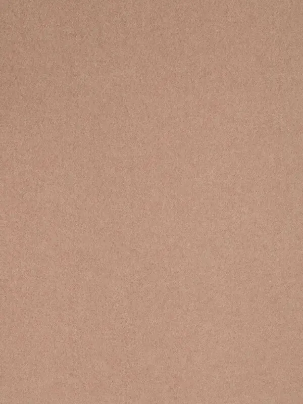 Acne Studios Fringed Wool Scarf - Brown