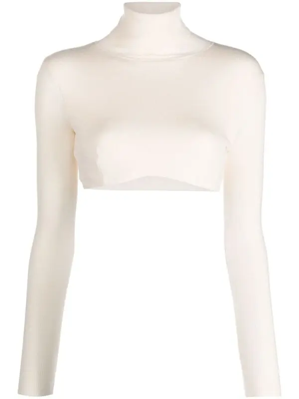 Elisabetta Franchi Roll Neck Knit Top