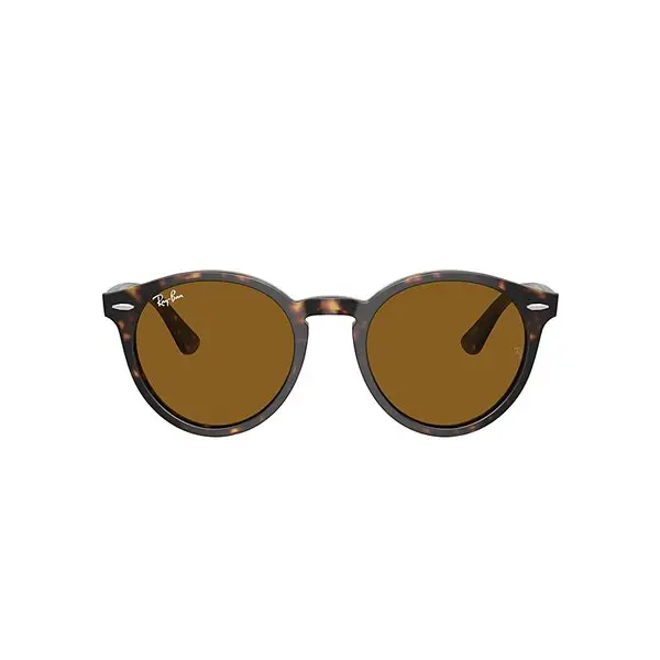 Ray-ban Larry Sunglasses - Havana