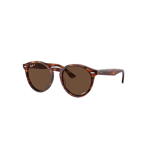 Ray-ban Larry Polarized Sunglasses - Striped Havana