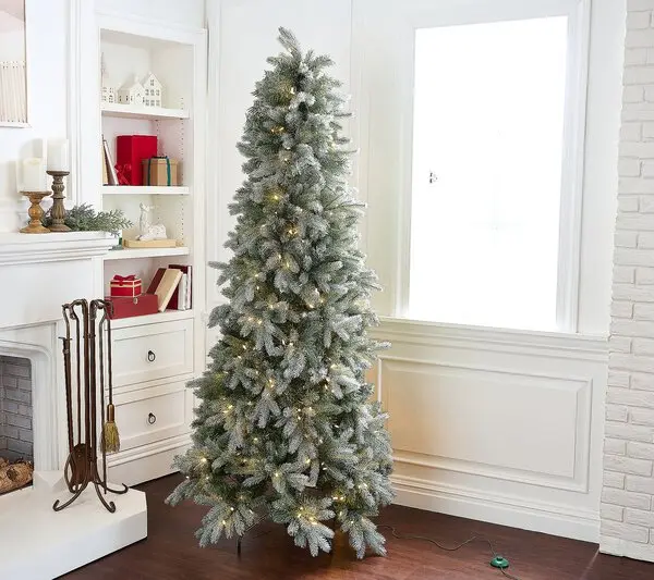 VALERIE PARR HILL 9' Twinkling Frosted Slim Colonial Tree Valerie - One-color