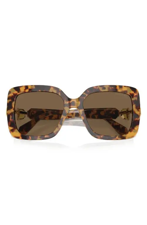SWAROVSKI 55mm Square Sunglasses - Lite Havana