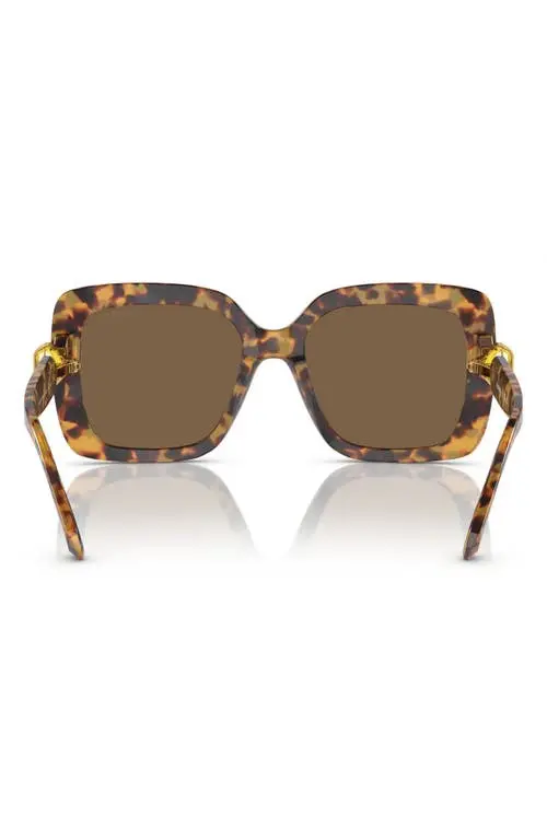 SWAROVSKI 55mm Square Sunglasses - Lite Havana