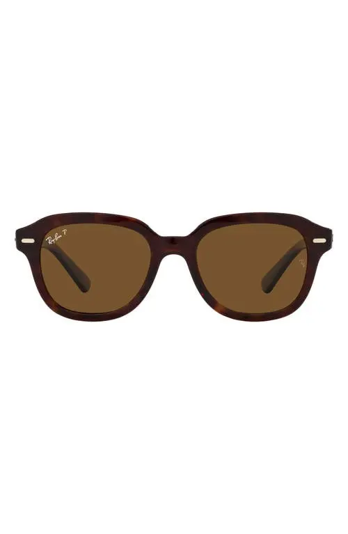 Ray-ban 51mm Polarized Square Sunglasses - Havana