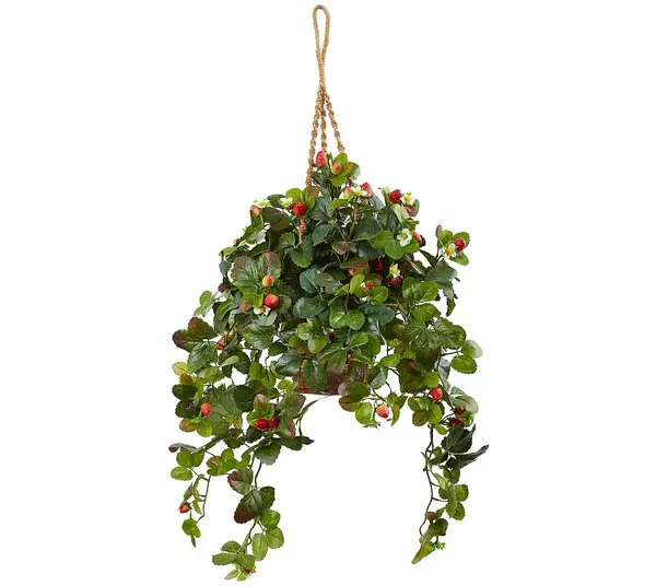 NEARLY NATURAL 41' Strawberry Bush In Hanging Basket By - One-color