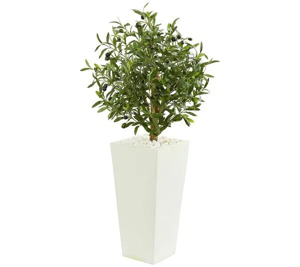 NEARLY NATURAL 3.5' Olive Tree In White Planter Nearly Natu Ral - One-color