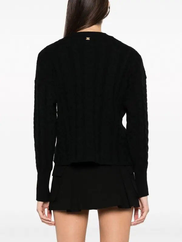 Pinko Armadillo Ribbed-knit Jumper