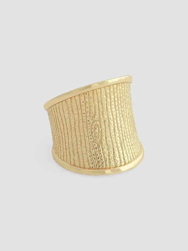 ANABEL ARAM Enchanted Forest Bark 18k -plated Ring