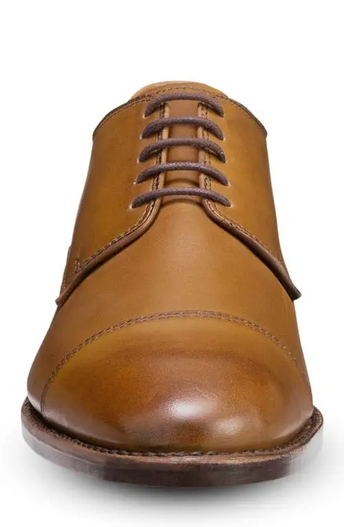 Allen Edmonds Park Avenue Derby - Walnut