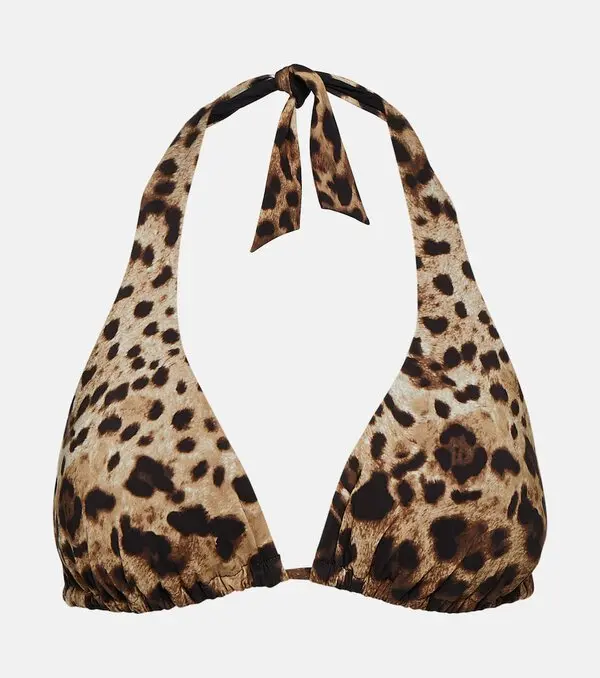 Dolce & Gabbana Leopard-print Bikini Top - Multicoloured