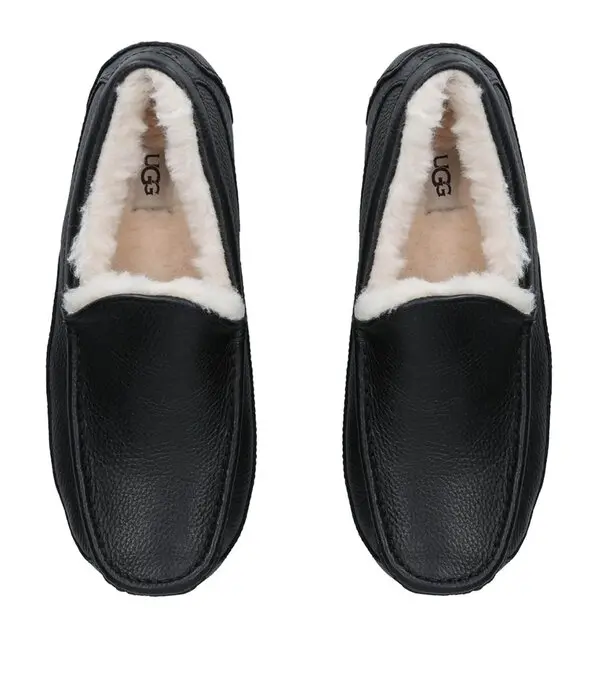 UGG Ascot Slipper - Black