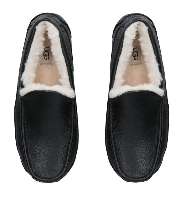 UGG Ascot Slipper - Black