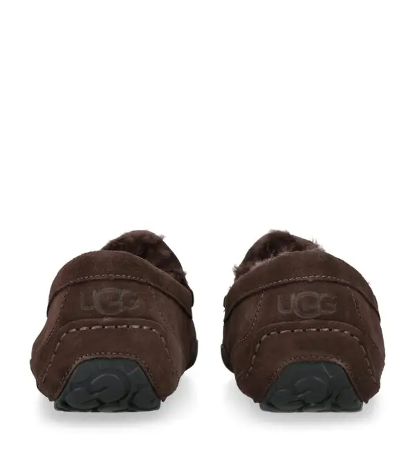 UGG Ascot Slippers - Brown