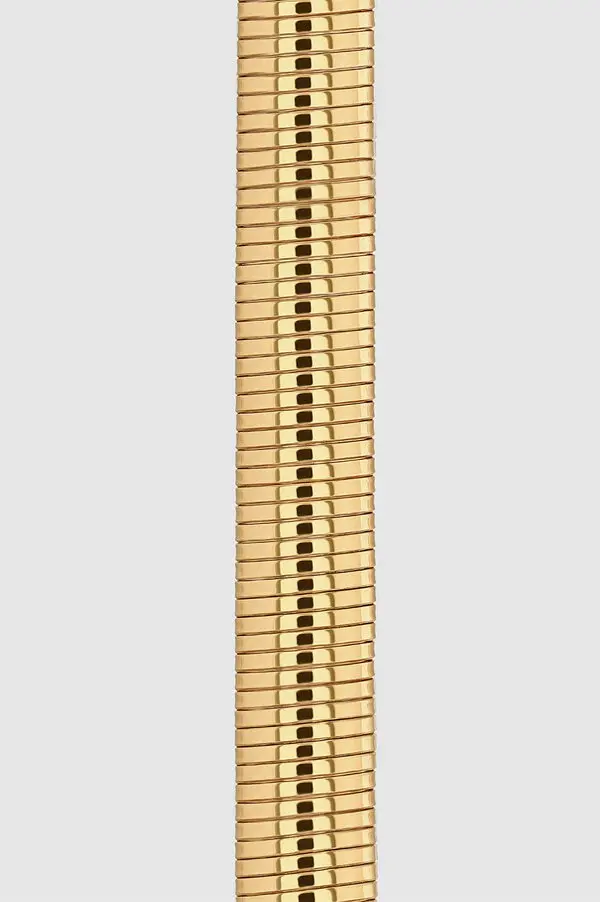 ANINE BING Coil Chain Necklace