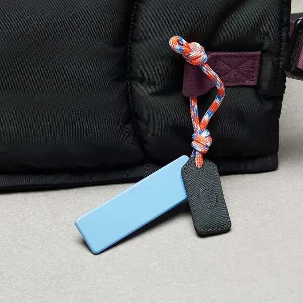 COACHTOPIA Loop Tote