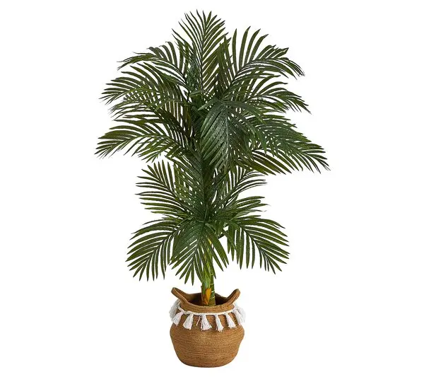 NEARLY NATURAL 5-ft Artificial Double Stalk Pal M Tree - One-color