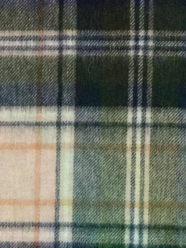Barbour Tartan-pattern Fringed Scarf - Neutrals