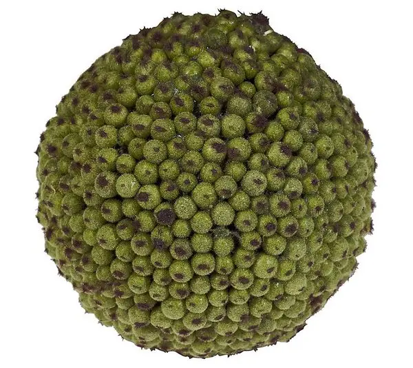 NEARLY NATURAL Set Of 4' Berry Ball - One-color