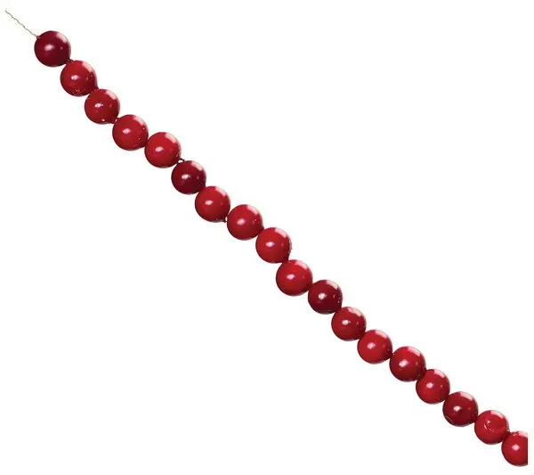 MELROSE Cranberry String Garland