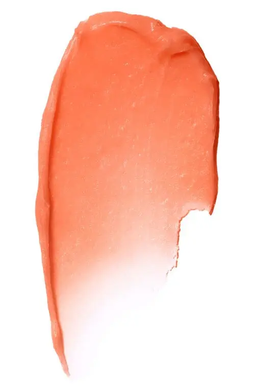 Trish Mcevoy Lip Perfector Conditioning Serum