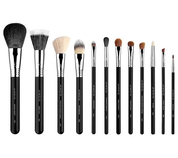 SIGMA BEAUTY Essential Brush Set With Swi Ch