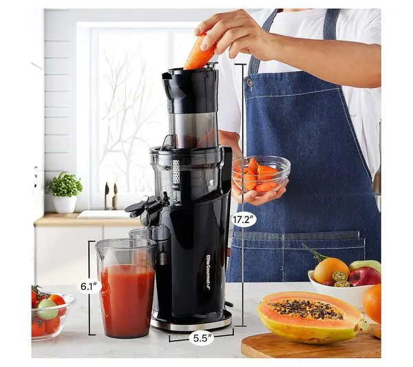 ELITE Gourmet Dynamic Masticating Slow Juicer - One-color