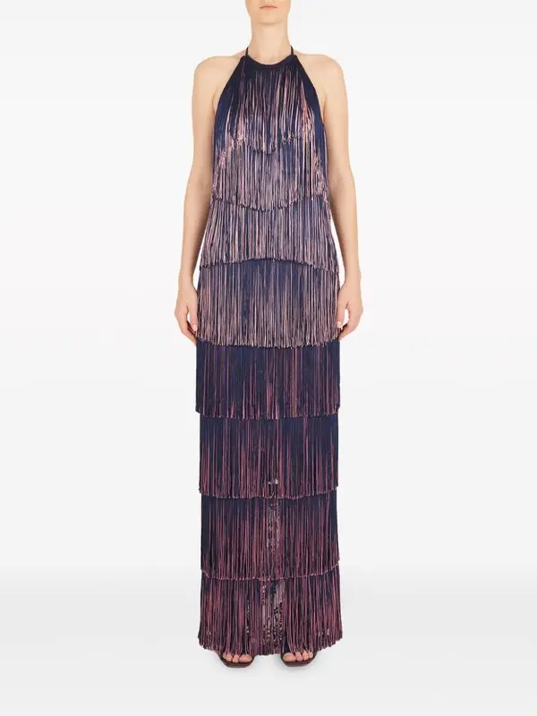 Silvia Tcherassi Paris Fringe Dress