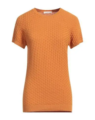 CIRCOLO 1901 Knitted Lightweight Knit Sweater
