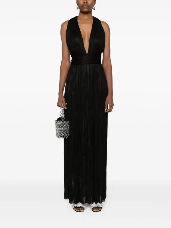 MARIA LUCIA HOHAN Kim Plissé Maxi Dress