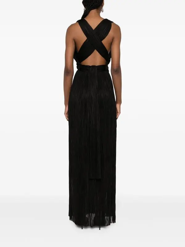 MARIA LUCIA HOHAN Kim Plissé Maxi Dress