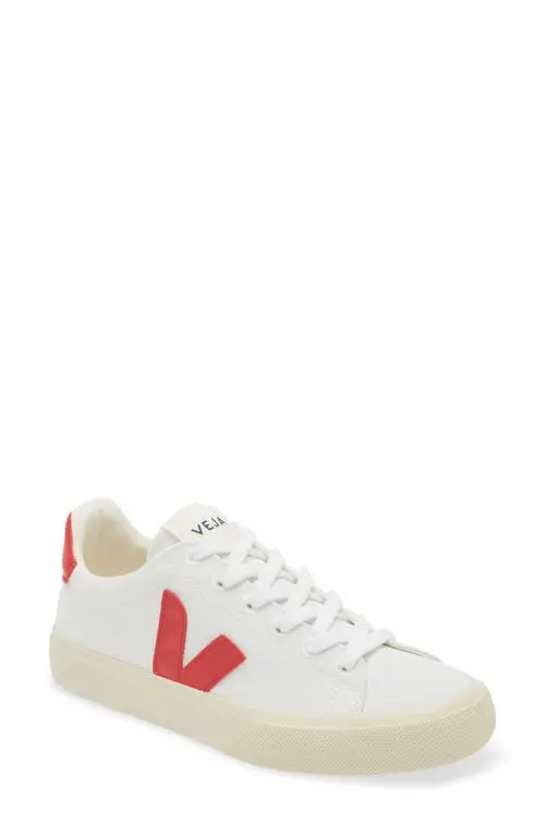 VEJA Campo Canvas Sneaker - White Pekin