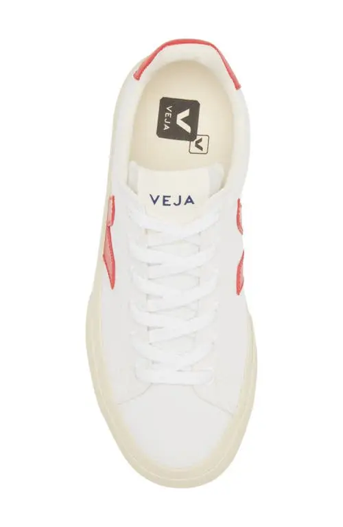 VEJA Campo Canvas Sneaker - White Pekin