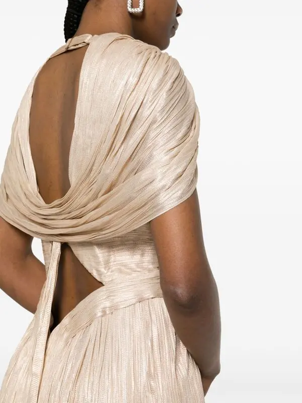 MARIA LUCIA HOHAN Laurel Plissé Gown