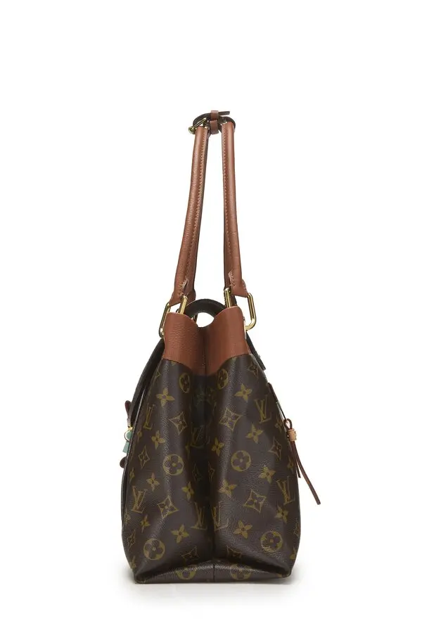 LOUIS VUITTON Monogram Canvas Olympe - Brown