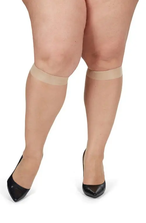 MEMOI 6-pack Silky Sheer Curvy Knee High Socks - City Beige