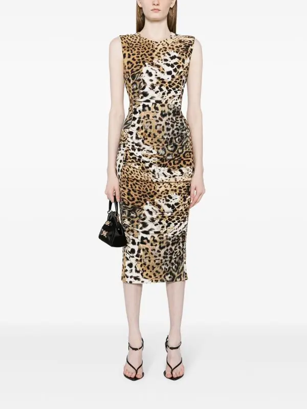 Roberto Cavalli Jaguar-print Midi Dress