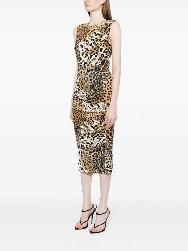 Roberto Cavalli Jaguar-print Midi Dress