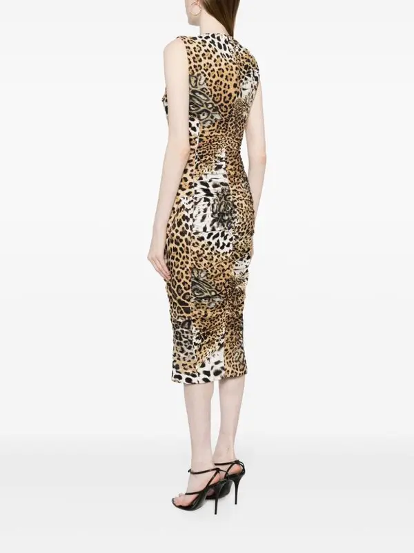 Roberto Cavalli Jaguar-print Midi Dress