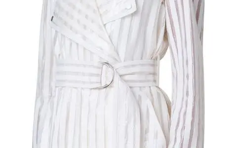 Akris Mesh Stripe Hooded Coat
