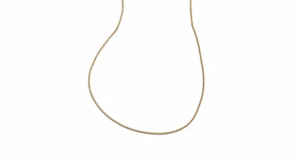 Jennifer Zeuner Jewelry Brett Chain Necklace - One-color