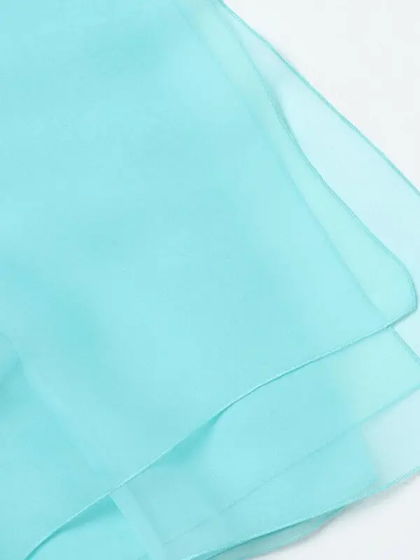 Alberta Ferretti Neck Scarf
