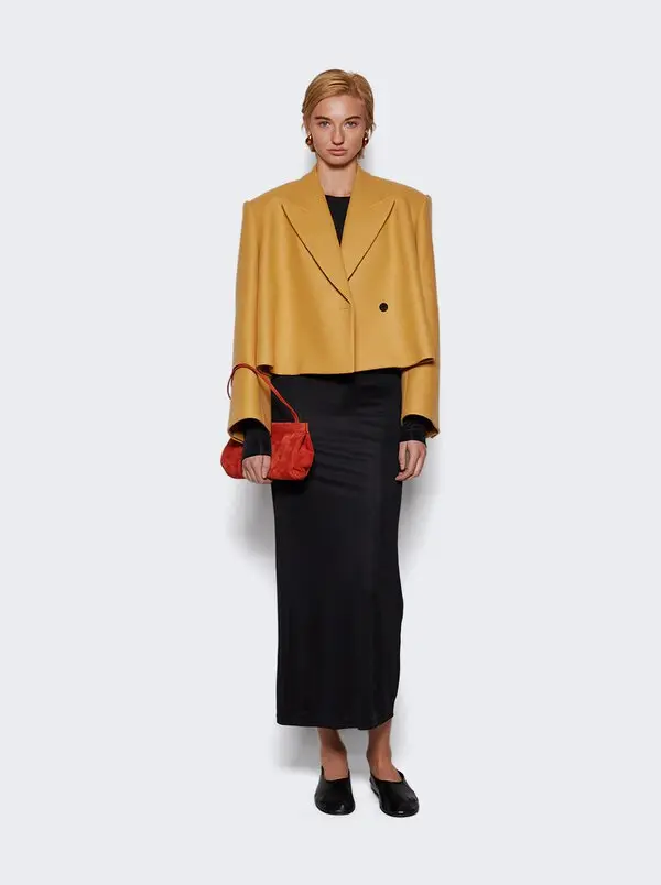 THE ROW Abby Bag