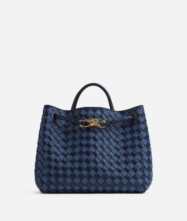 Bottega Veneta Medium Andiamo Top Handle Bag