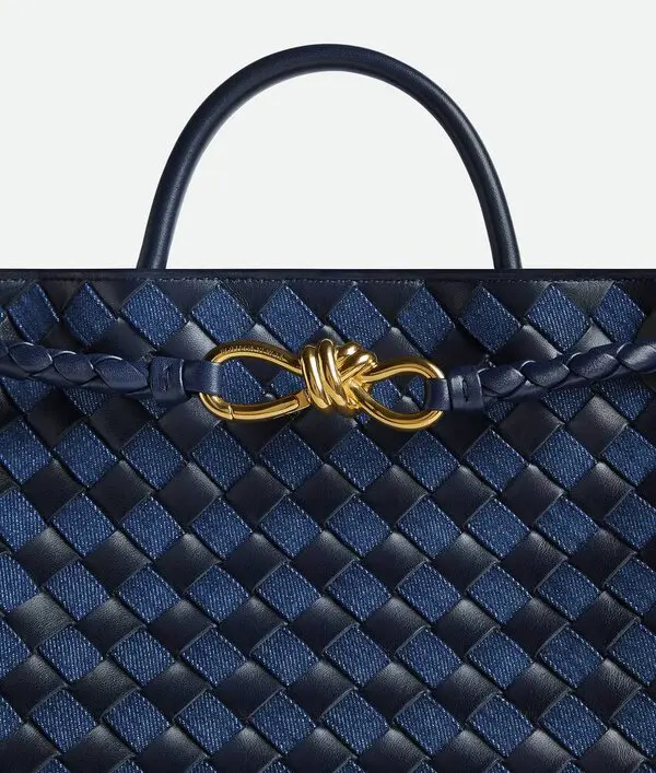 Bottega Veneta Medium Andiamo Top Handle Bag