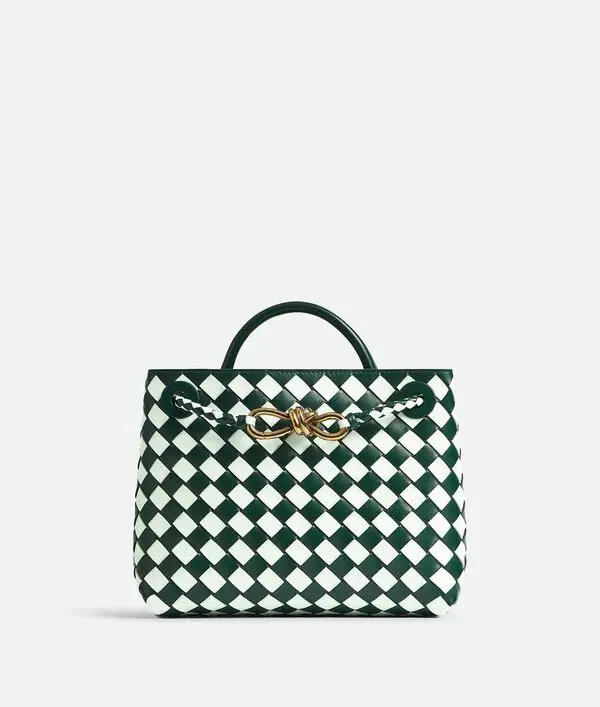 Bottega Veneta Andiamo Top Handle Bag