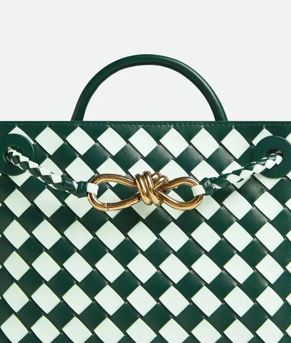 Bottega Veneta Andiamo Top Handle Bag